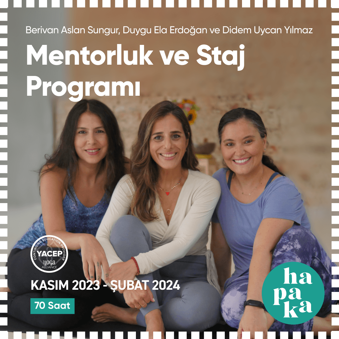 Mentorluk ve Staj Programı (70 Saat) Kasım 2023